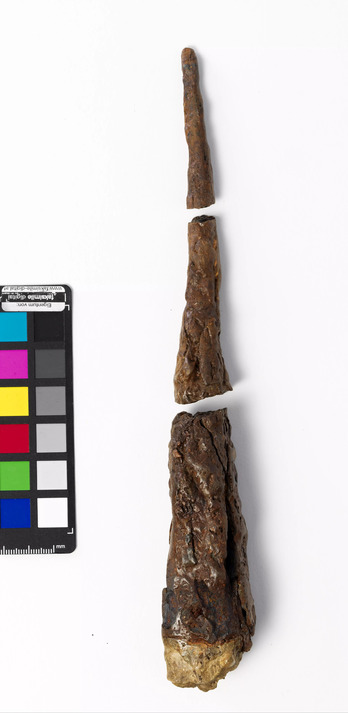 Pilum – Wien Museum Online Sammlung