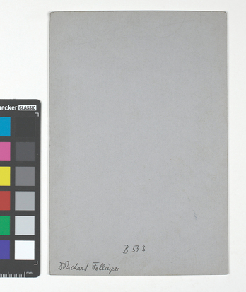 Richard Albert Fellinger (1848–1903), Industrieller – Wien Museum ...