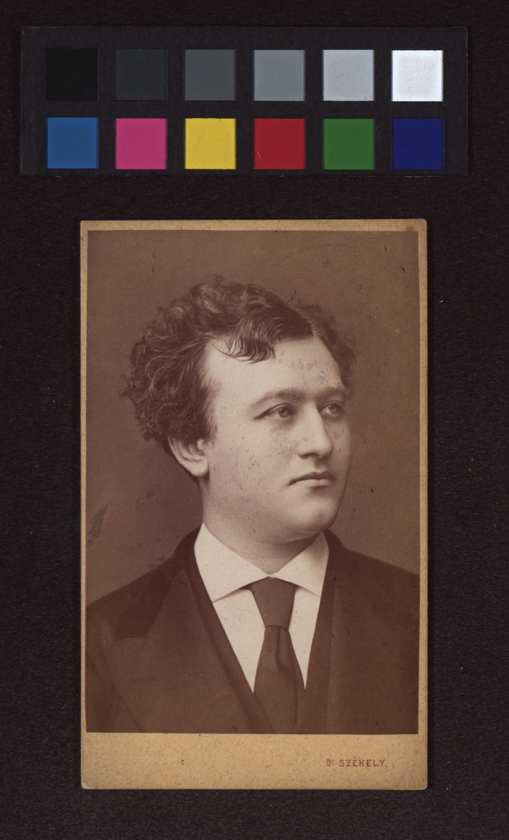 Ernst Hartmann (1844-1911), Schauspieler – Wien Museum Online Sammlung