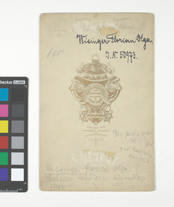 Olga Wisinger-Florian (1844-1926), Malerin – Wien Museum Online Sammlung