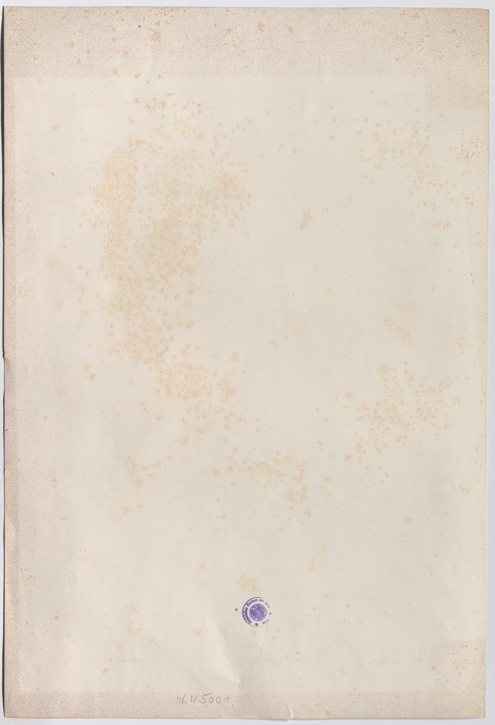 "LE PRINCESSE JULIE M. OBRÉNOVITSCH" – Wien Museum Online Sammlung