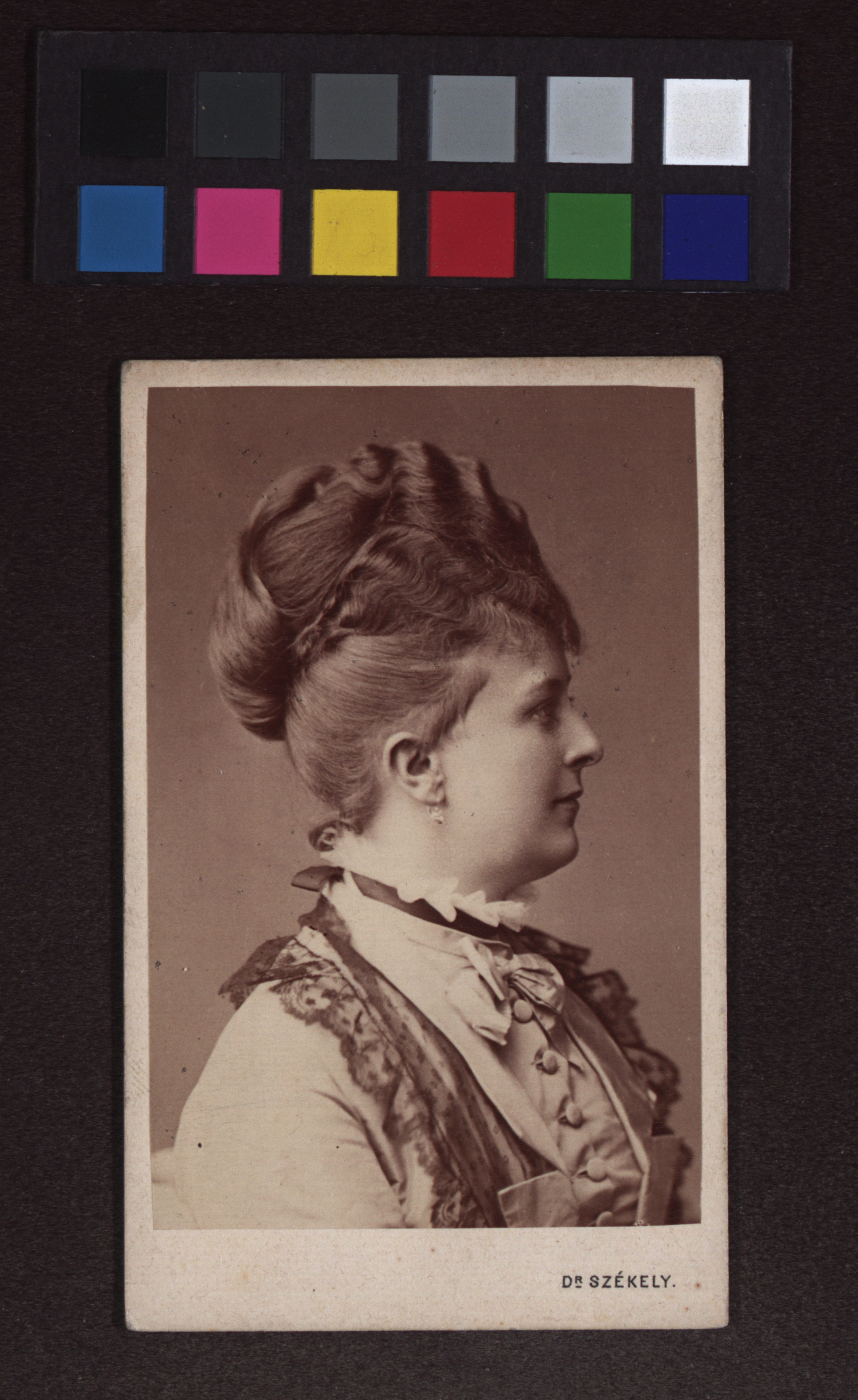 Hedwig Niemann-Raabe (1844-1905), Schauspielerin – Wien Museum Online ...