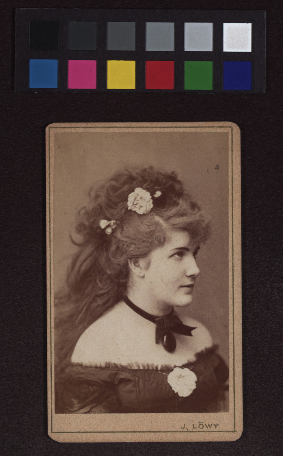 Maier – Wien Museum Online Sammlung
