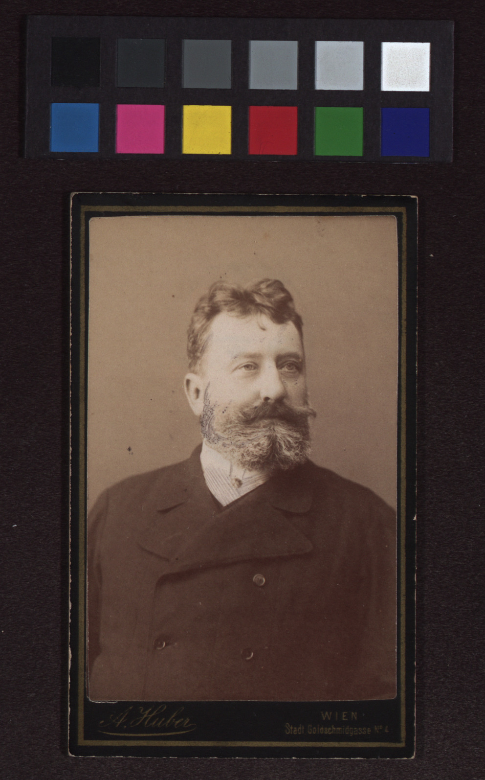 Ferdinand von Saar (1833-1906), Schriftsteller – Wien Museum Online ...