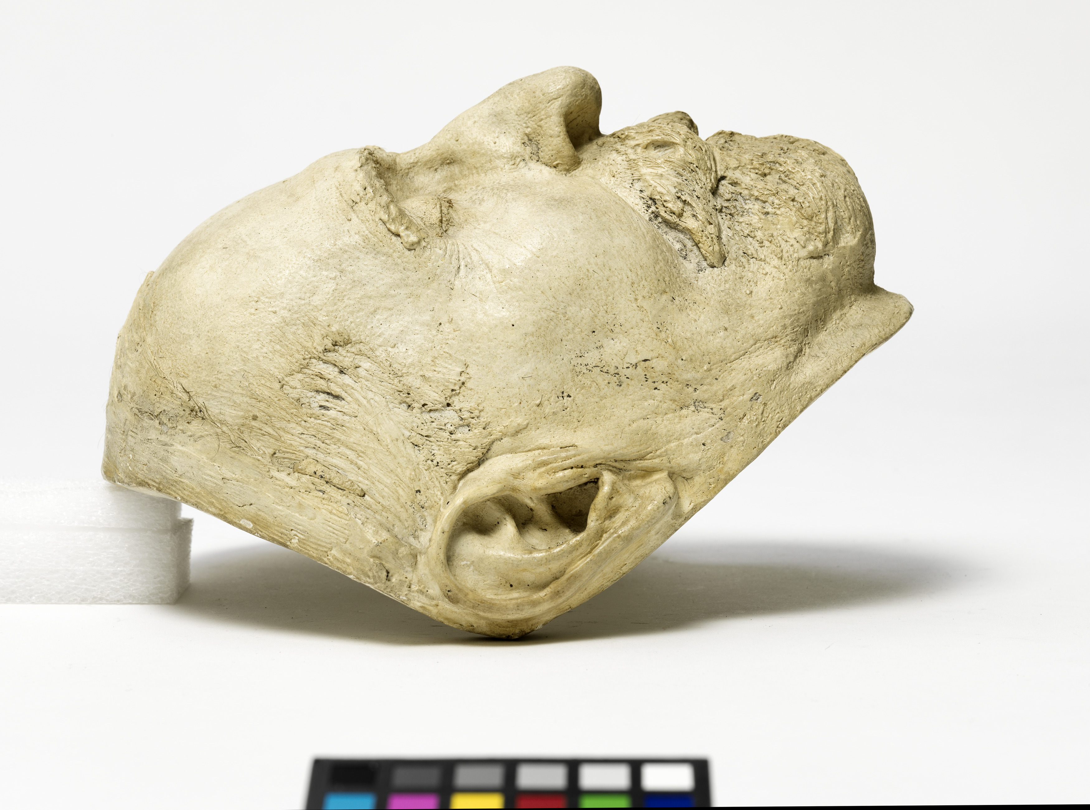 Totenmaske von Ferdinand Hanusch – Wien Museum Online Sammlung