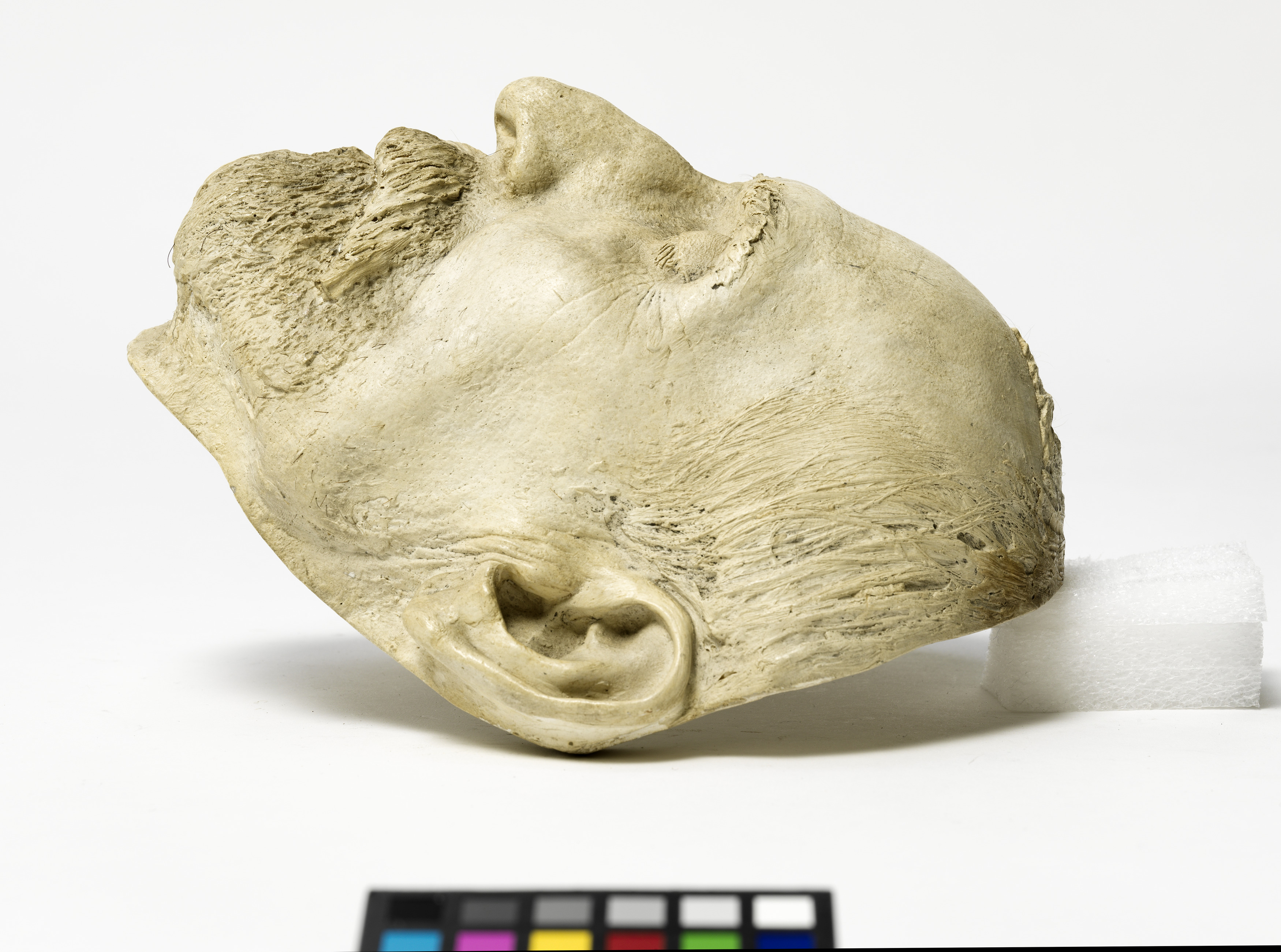 Totenmaske von Ferdinand Hanusch – Wien Museum Online Sammlung