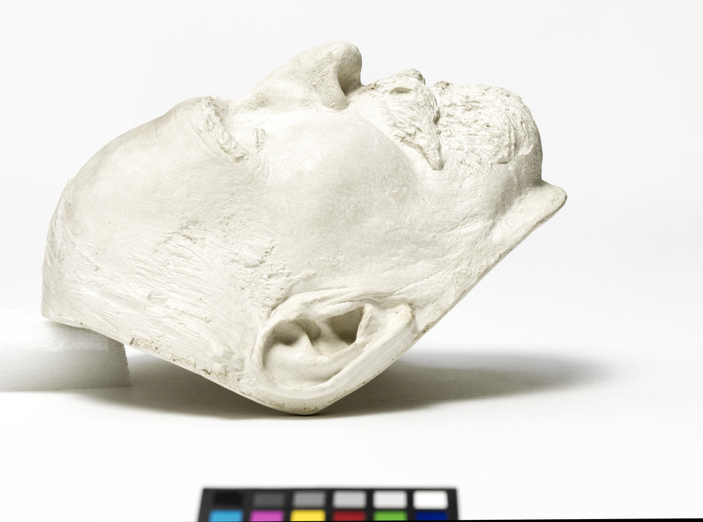 Totenmaske von Ferdinand Hanusch – Wien Museum Online Sammlung