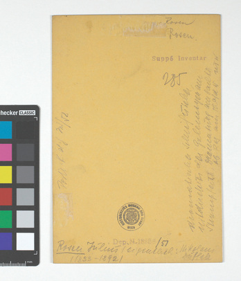 Julius Rosen (eigentl. Nikolaus Duffek, 1833-1892), Schriftsteller ...